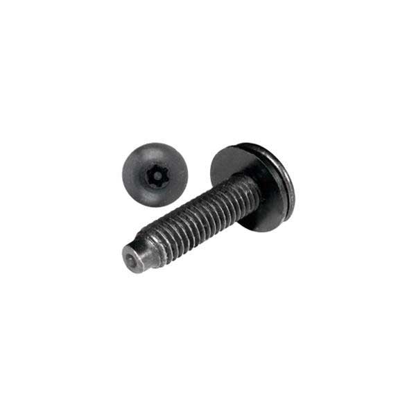 Star Post Security Rack Screws (50 Pack)